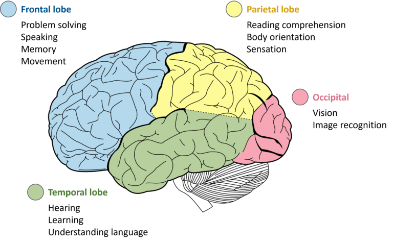 SEQUEL (COG0202) – Cognition Therapeutics, Inc.
